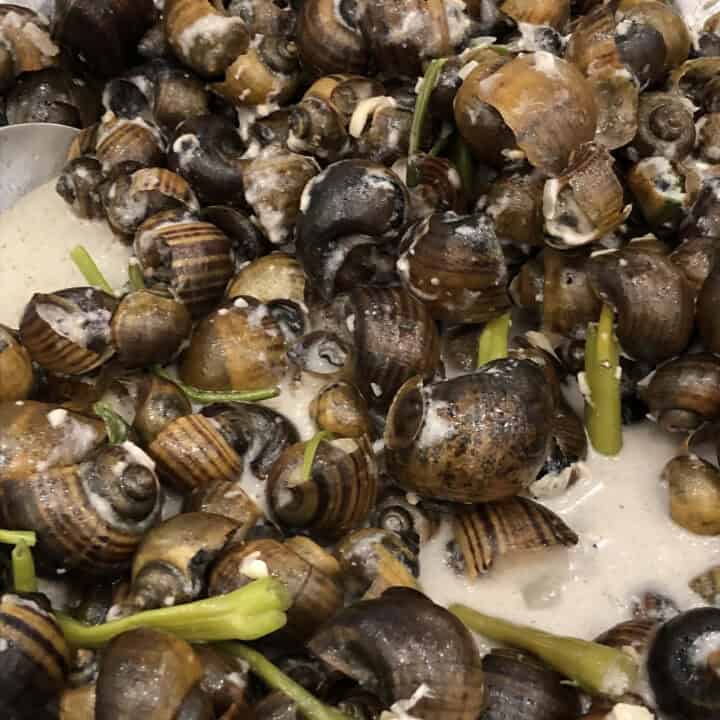 Ginataang Kuhol (Apple Snails in Coconut Milk) - Kusina Secrets